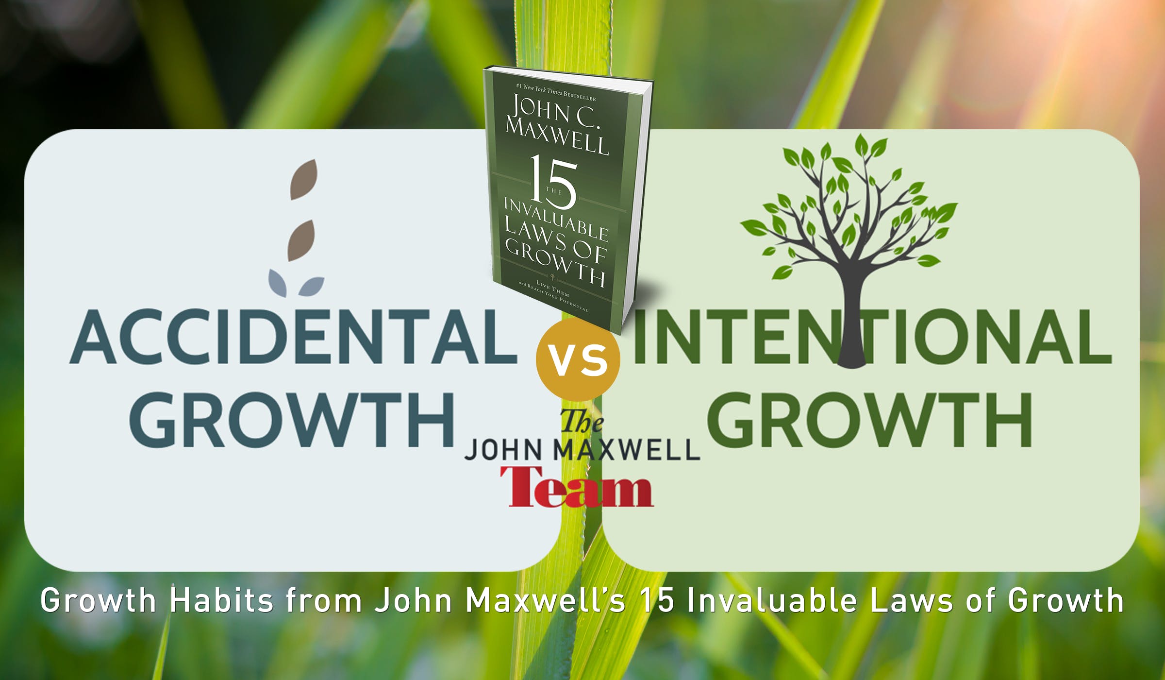 Accidental Vs. Intentional Growth – AaronChavez